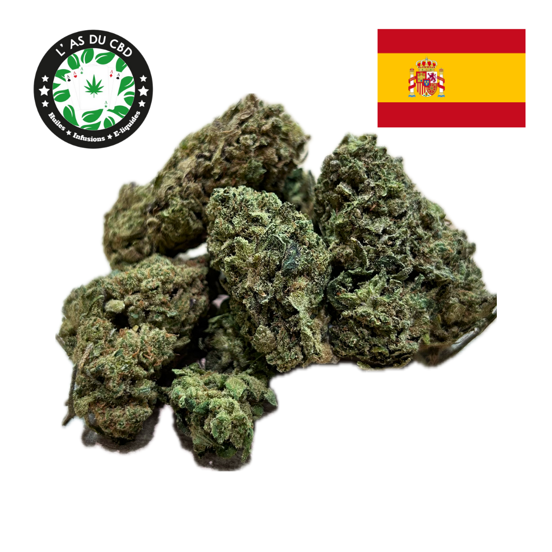 Gushers Kush - L'as du CBD